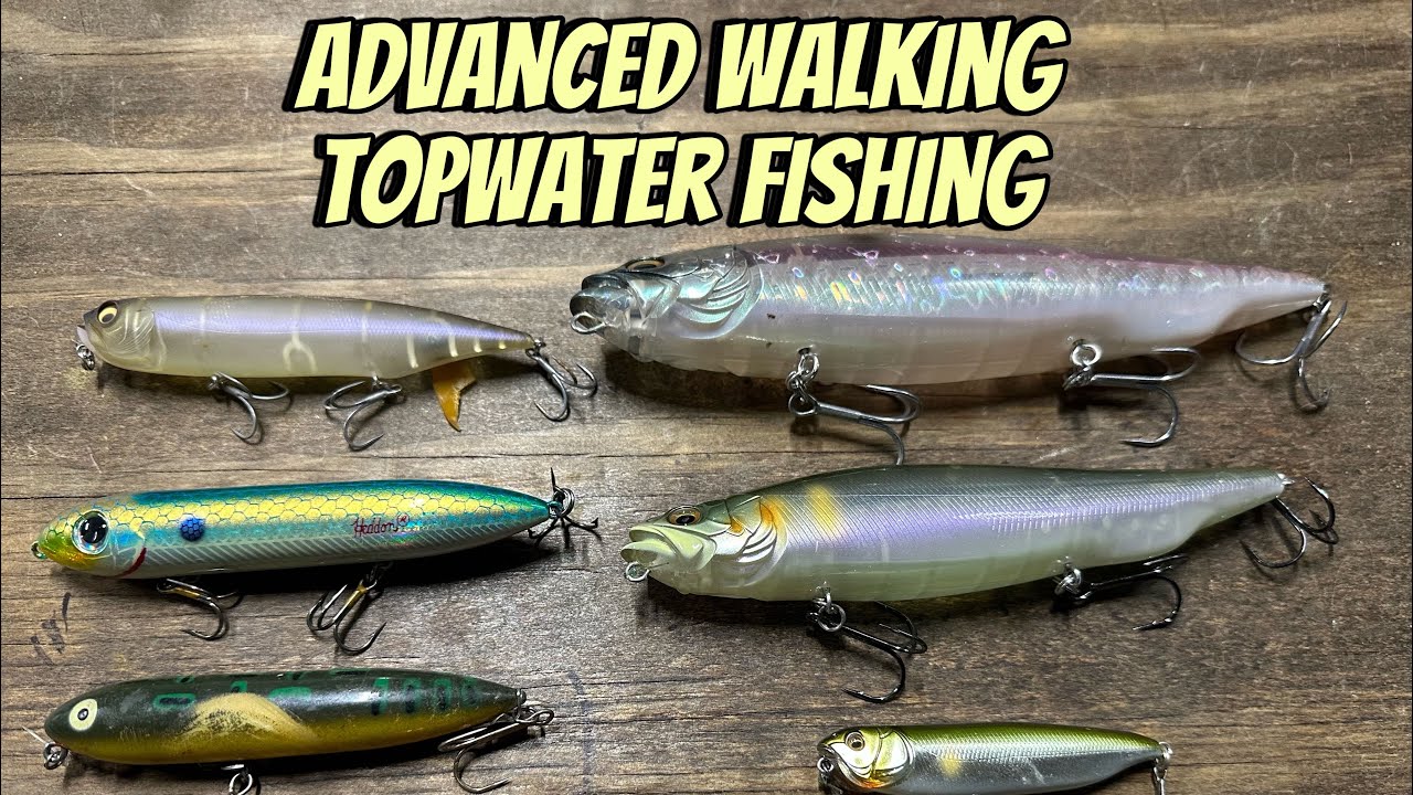Advanced Walking Topwater Techniques And Approaches… - YouTube
