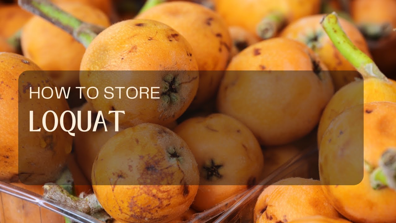 How to Store Loquat - YouTube