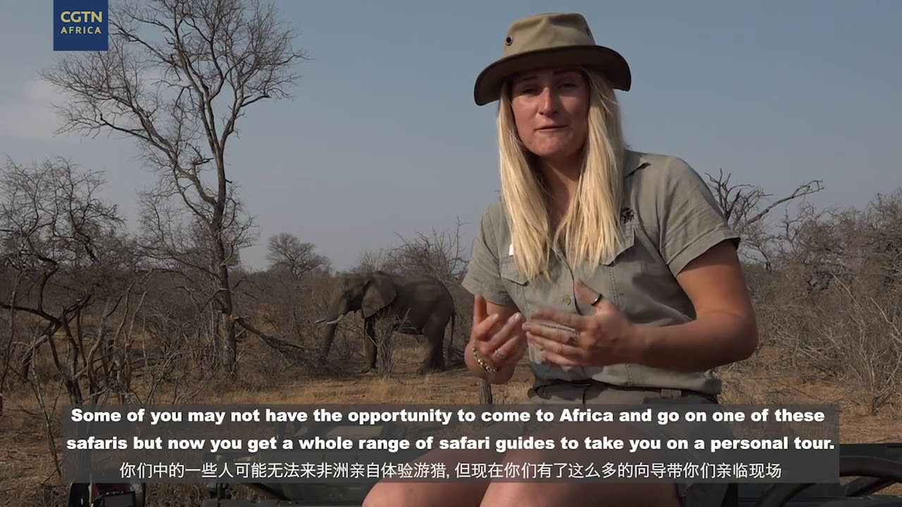 Q&A with Digital Safari guide Tayla McCurdy - YouTube