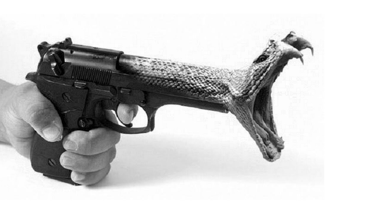 10 Insane Military Weapons Using Animals - YouTube