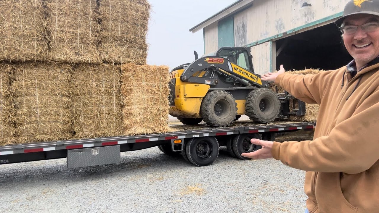 Pulling straw bundles with a Special Guest - YouTube