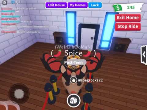 FLY RIDE BAT DRAGON GIVEAWAY - YouTube