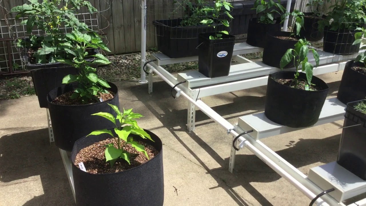 Ultimate Hybrid Grow System Even Aliens Like It - YouTube
