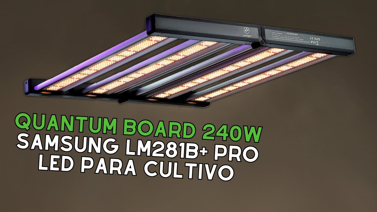 LED para CULTIVO INDOOR: Quantum Bar 240W com Chip Samsung LM281B+ PRO ...