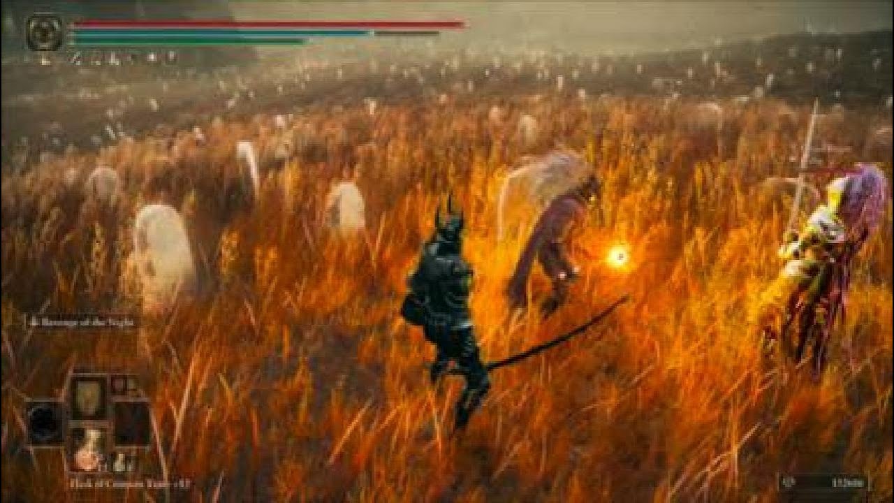 Elden ring drip inspector - YouTube