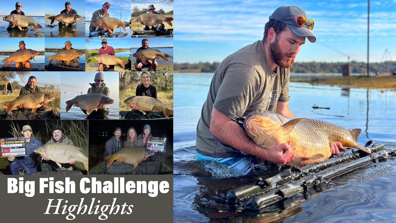 Big Fish Challenge 2025 | Highlights - YouTube