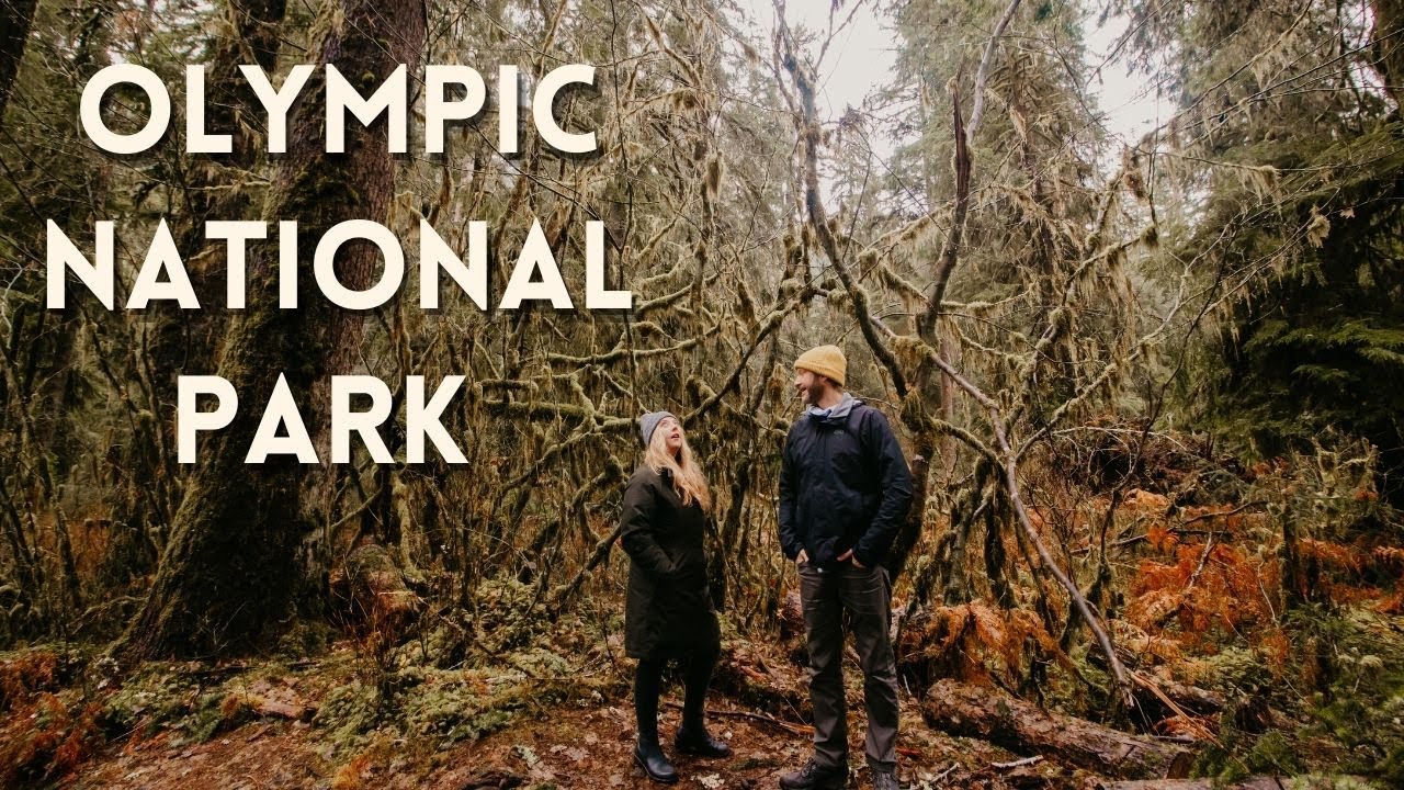 STARTING OUR TRIP DOWN HIGHWAY 101 | Washington State | Hoh Rainforest ...