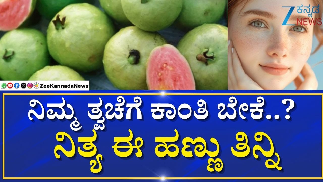 Seebe Fruit Benifits | ಸೇಬಿನ ನಂತರ ವಿಶ್ವದ 2ನೇ ಅತ್ಯಂತ ಪೌಷ್ಟಿಕ ಹಣ್ಣಿದು ...