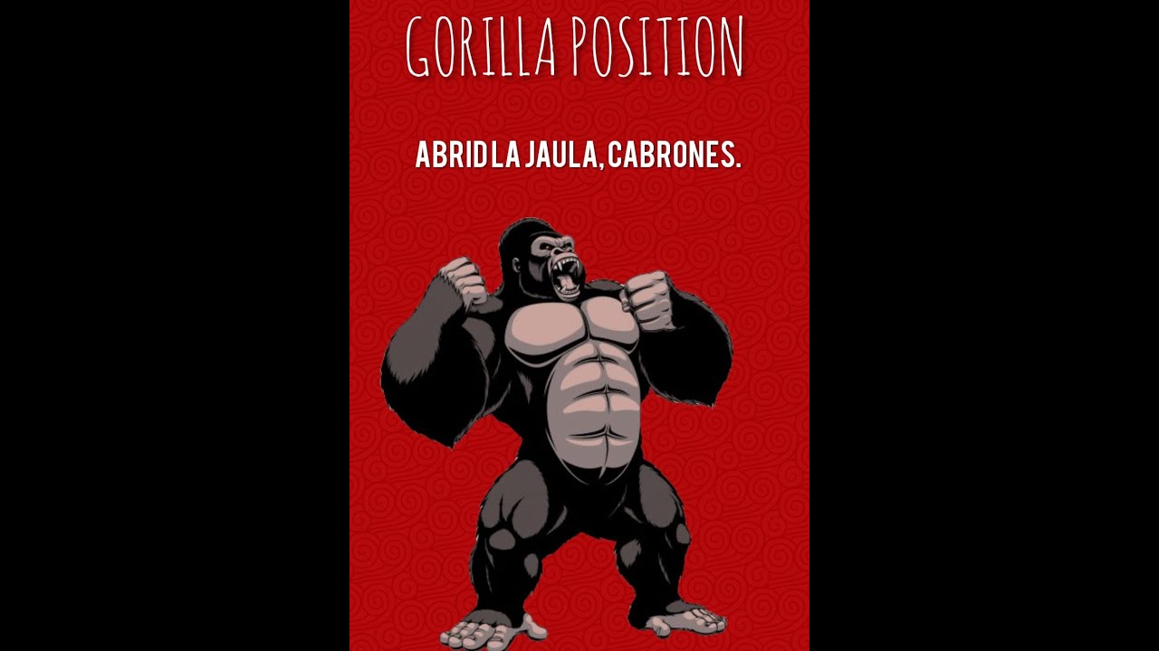 Gorilla Position 46 - YouTube