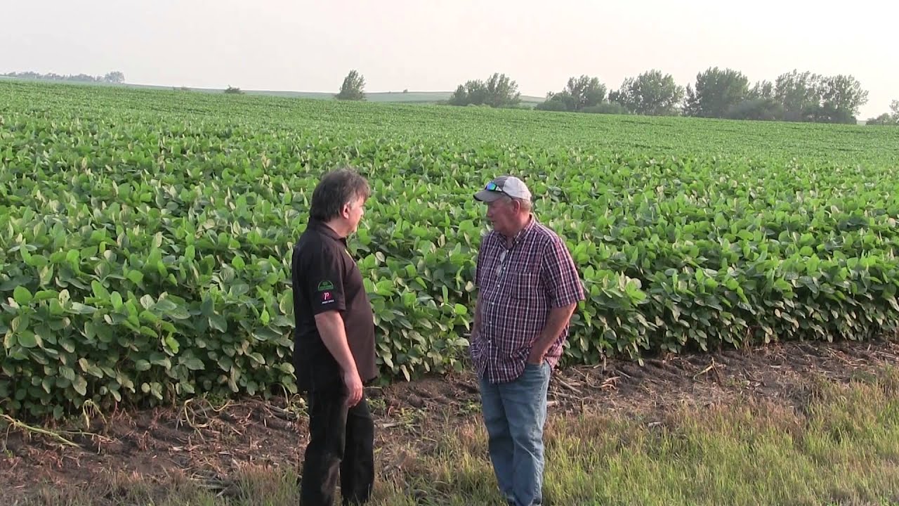 Richard Travers Crop Tour Interview 2015 - YouTube
