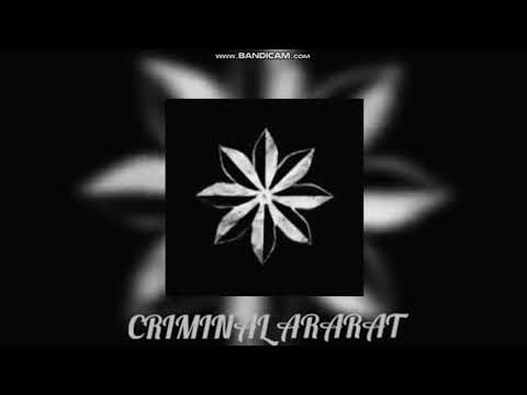 Dolya Vorovskaya Remix (2021)