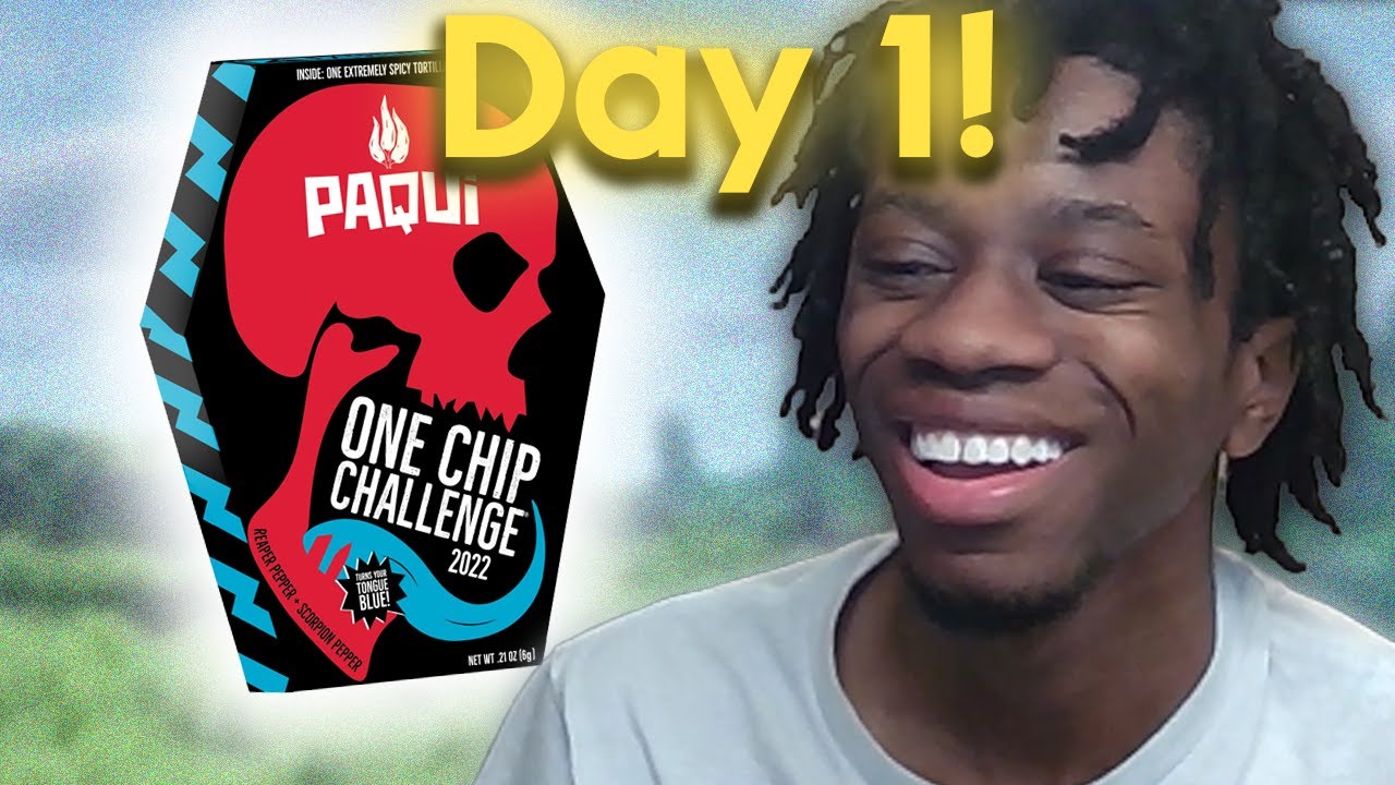 If I Don't Beat Minecraft In 30 Days I'll EAT The One Chip. Day 1 - YouTube