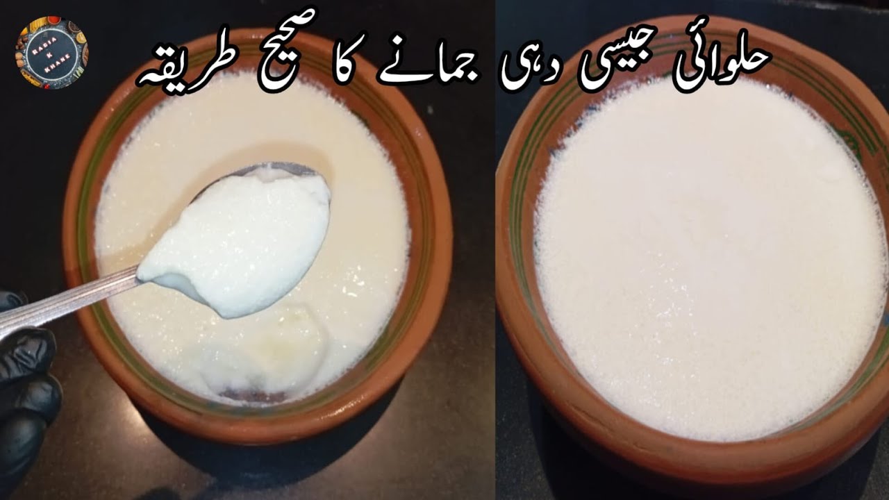 Dahi jamany ki recipe by rabia k khane...#cookingvideo #food #recipe # ...