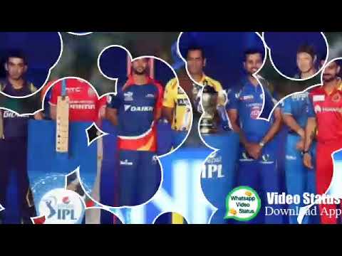 Whatsapp stat...(11)