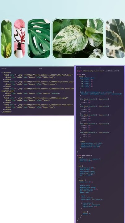 Bounce Effect Buttonhovereffect Html Css Youtube