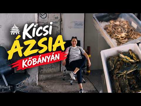 Van egy kicsi Ázsia Kőbányán 🥢 Bemegyek oda, ahová sokan nem mernek