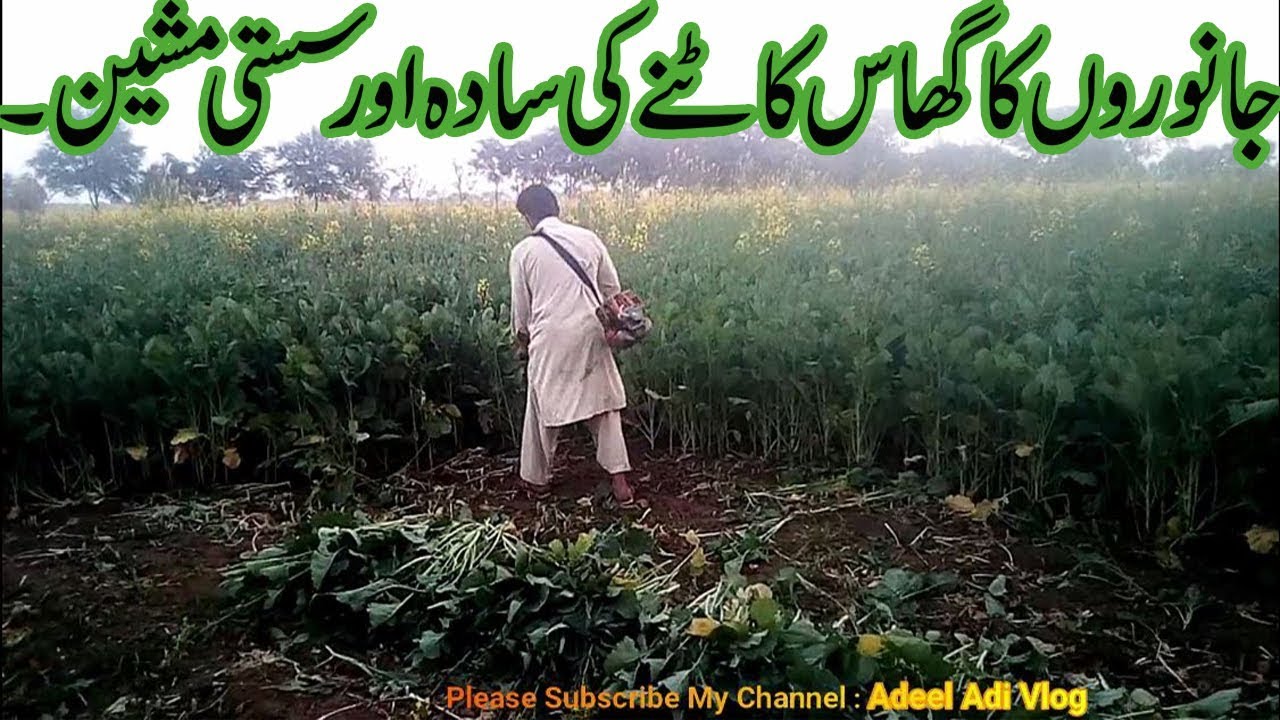 Ghas katne ki machine || Fodder Cutter || Reaper || Agriculture 2019 ...
