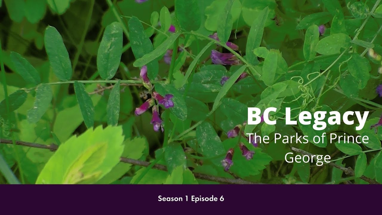 BC Legacy: The Parks of Prince George I S1 EP 6 - YouTube