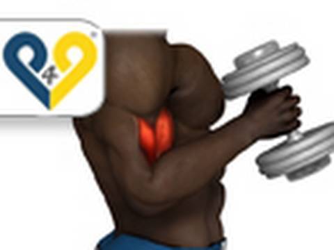 Curl a martello, alternati - YouTube