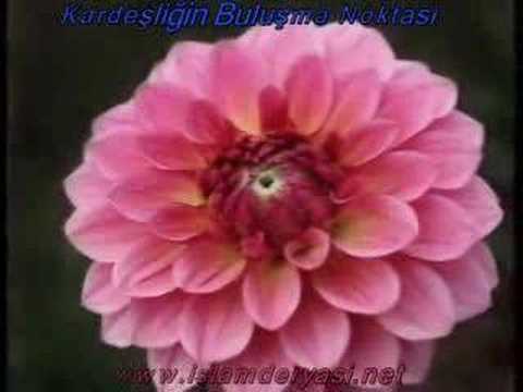 Dini İslami site islamderyasi.net tanıtım klibi