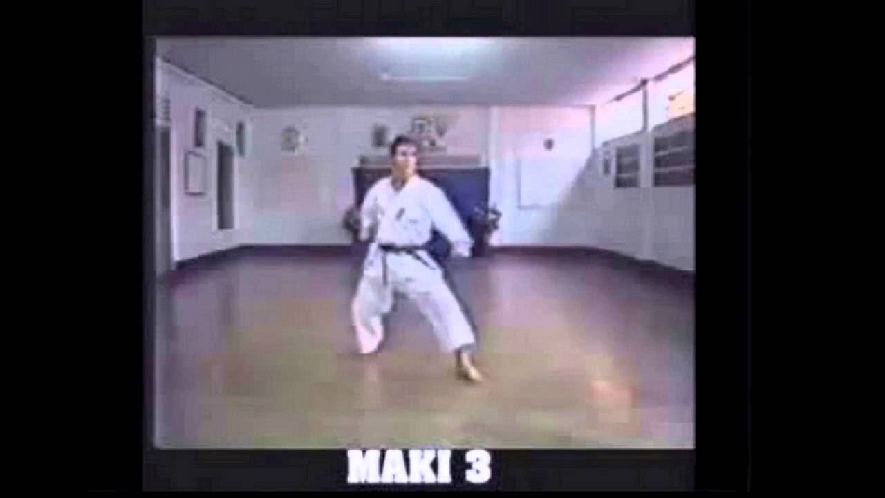 MAKI 3 (Nghĩa Dũng Karate-Do, Suzucho Karate-Do) how to learn karate do ...