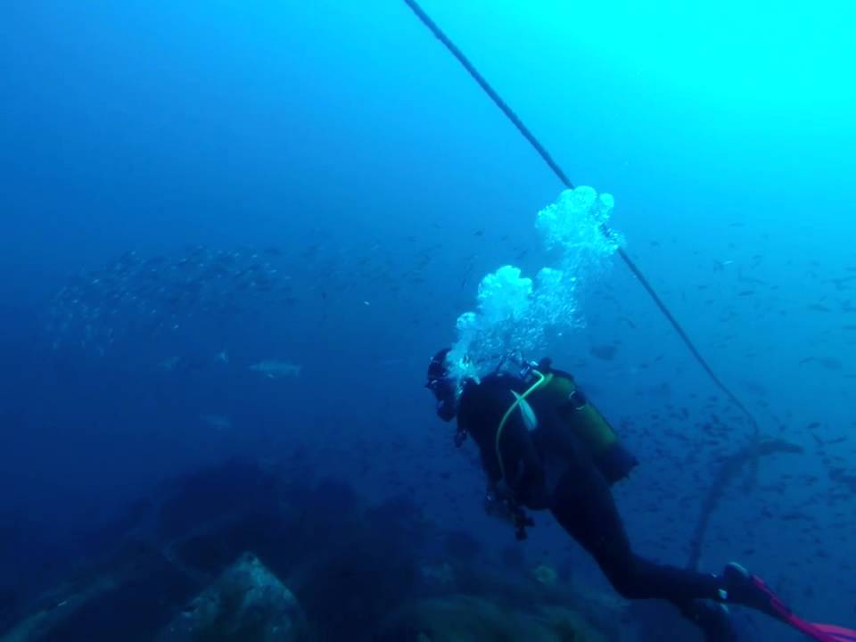 vidéo 3 plongée bouteille épave donator aout 2015 - YouTube
