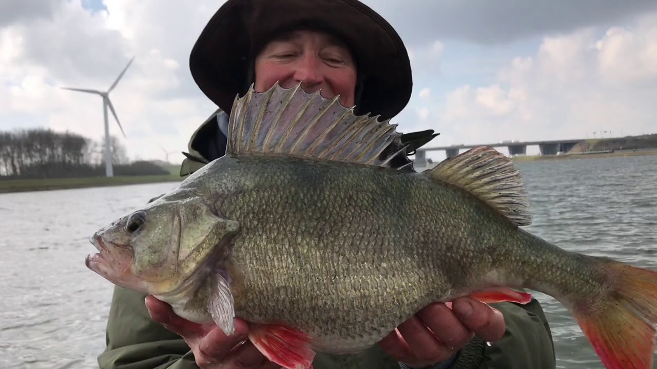 Record Perch #RIVER7 - YouTube