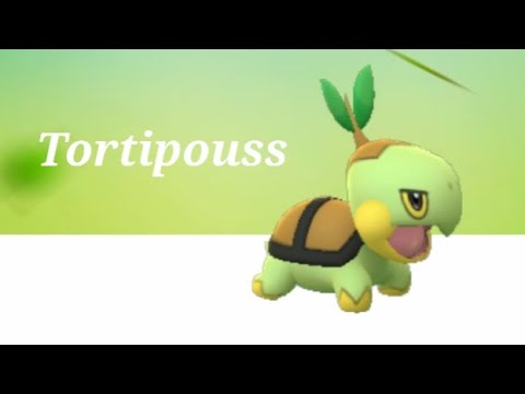 Tortipouss évolution Boskara évolution Torterra Pokémon Go - YouTube