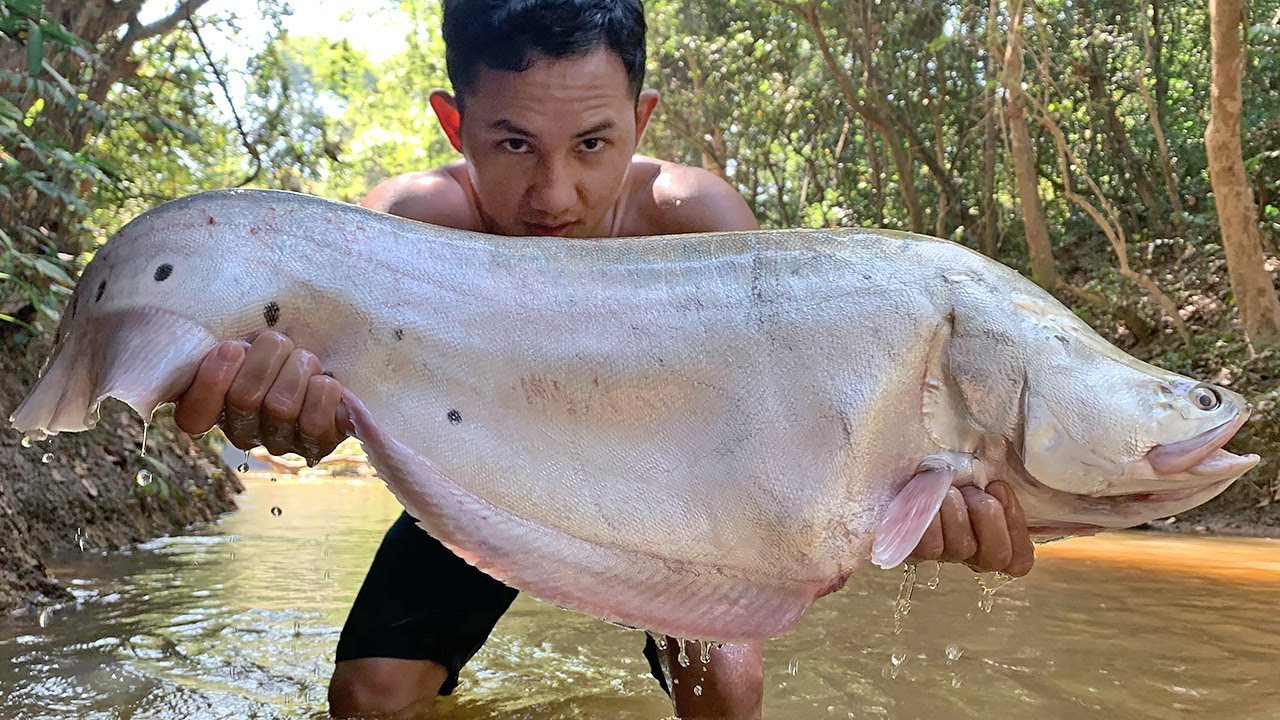 Amazing! Monster Fish Cooking near River in Forest - YouTube