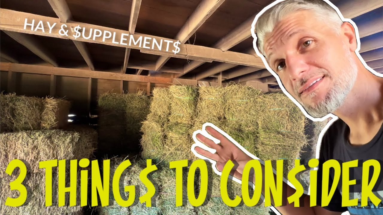 3 Things To Consider Hay and Supplements - YouTube