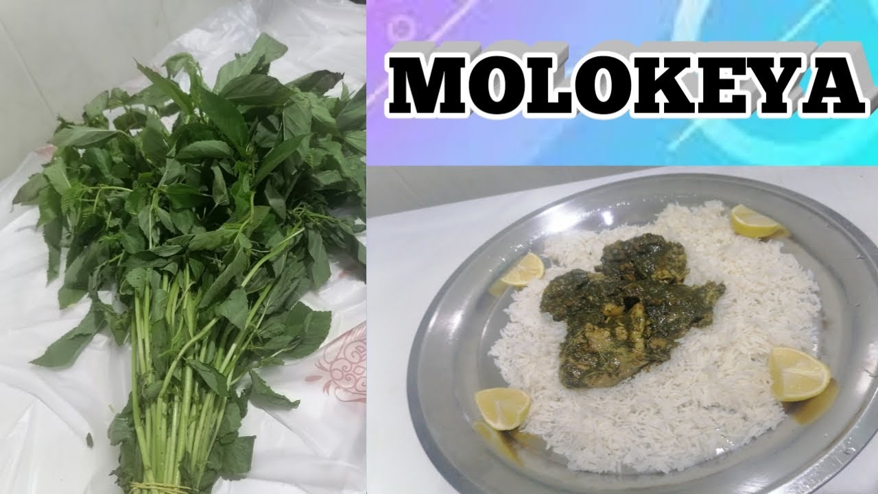 MOLOKEYA #SALUYOT - YouTube