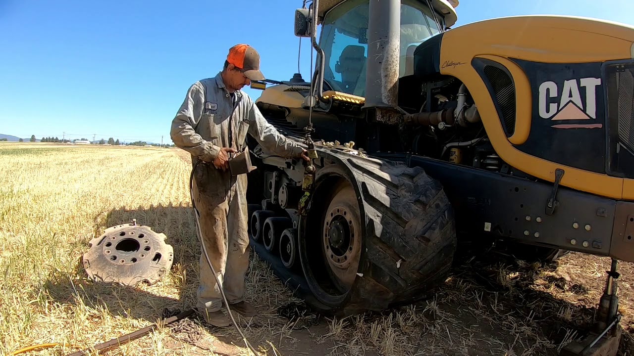 Working On Caterpillars Part1 Youtube