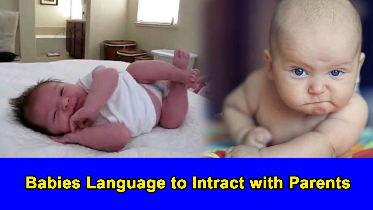 Babies Interaction with Parents | Child Parent Interaction ...