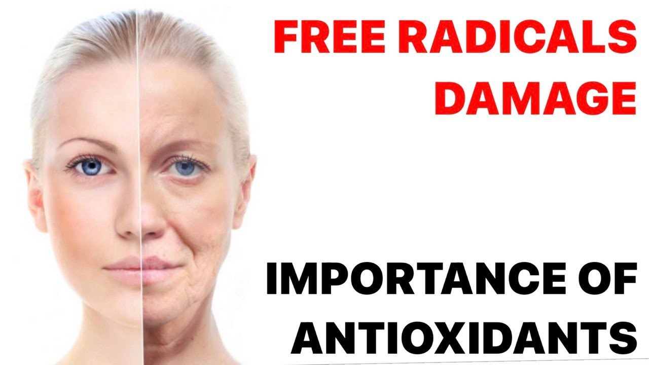 Free Radical Theory Of Aging Importance Of Antioxidants Youtube
