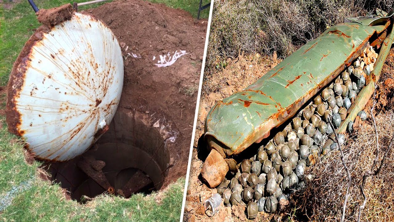8 Cosas Insanas Encontradas Por Personas en Sus Patios Traseros - YouTube
