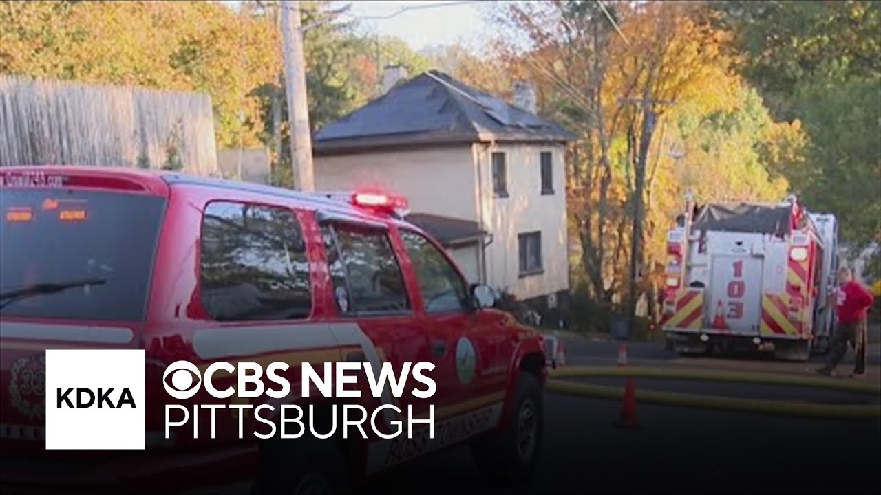 Family dog killed, 2 firefighters injured in Ross Township house fire ...
