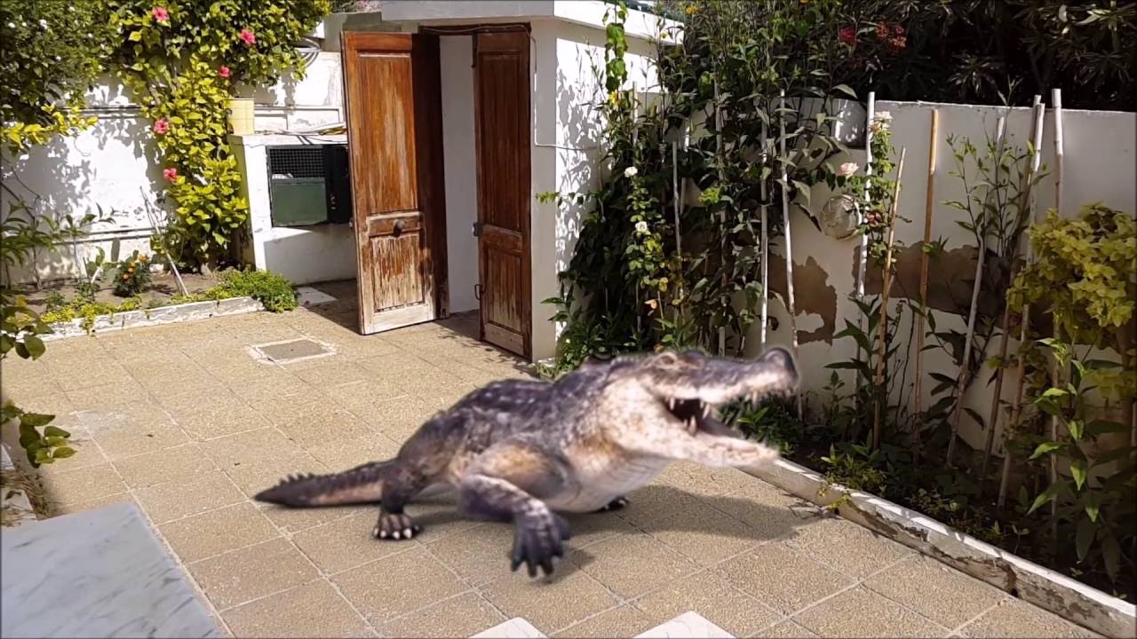 Crocodile in the house After effect Green screen+camera track Tutorial ...