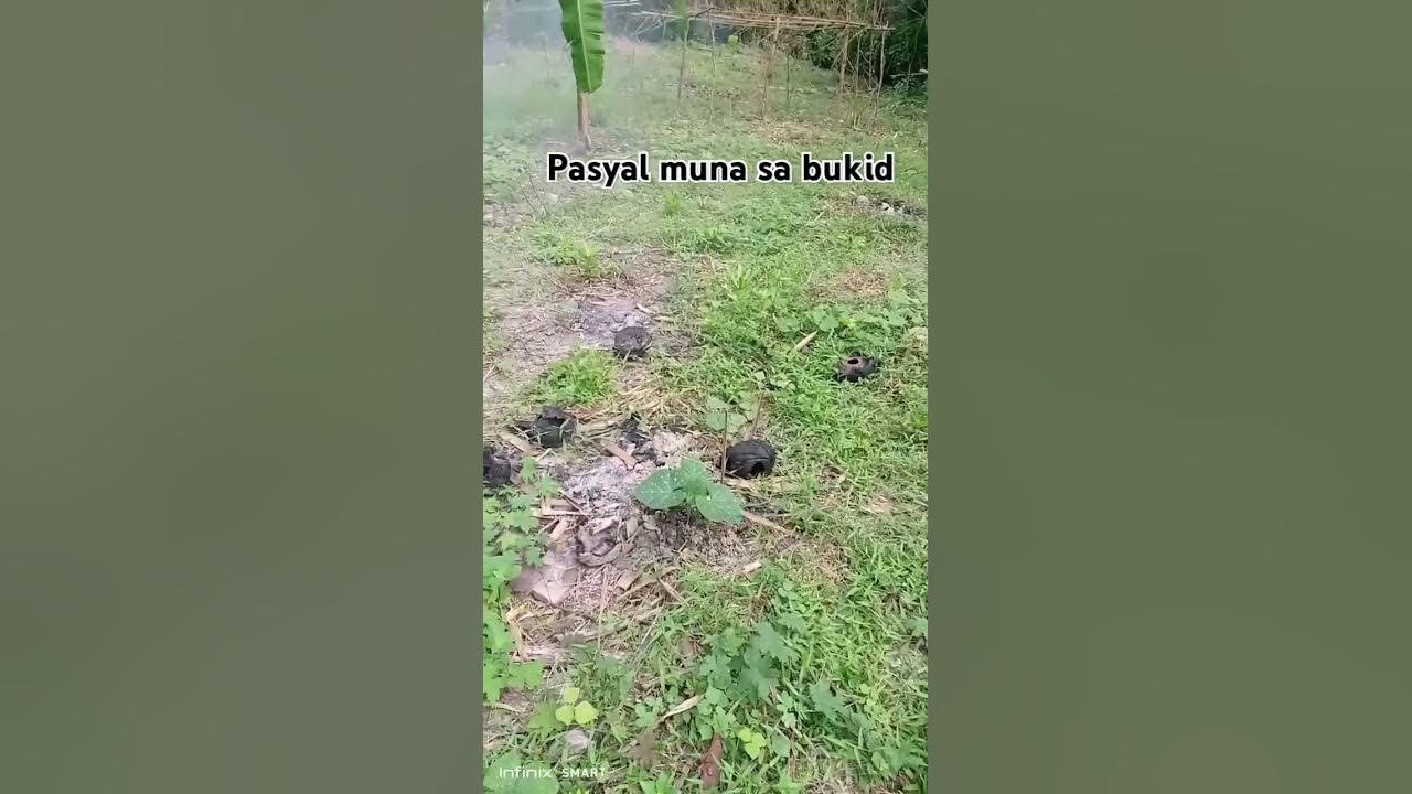 #gardening #tamang tambay lng sa bukid🍃😇 - YouTube
