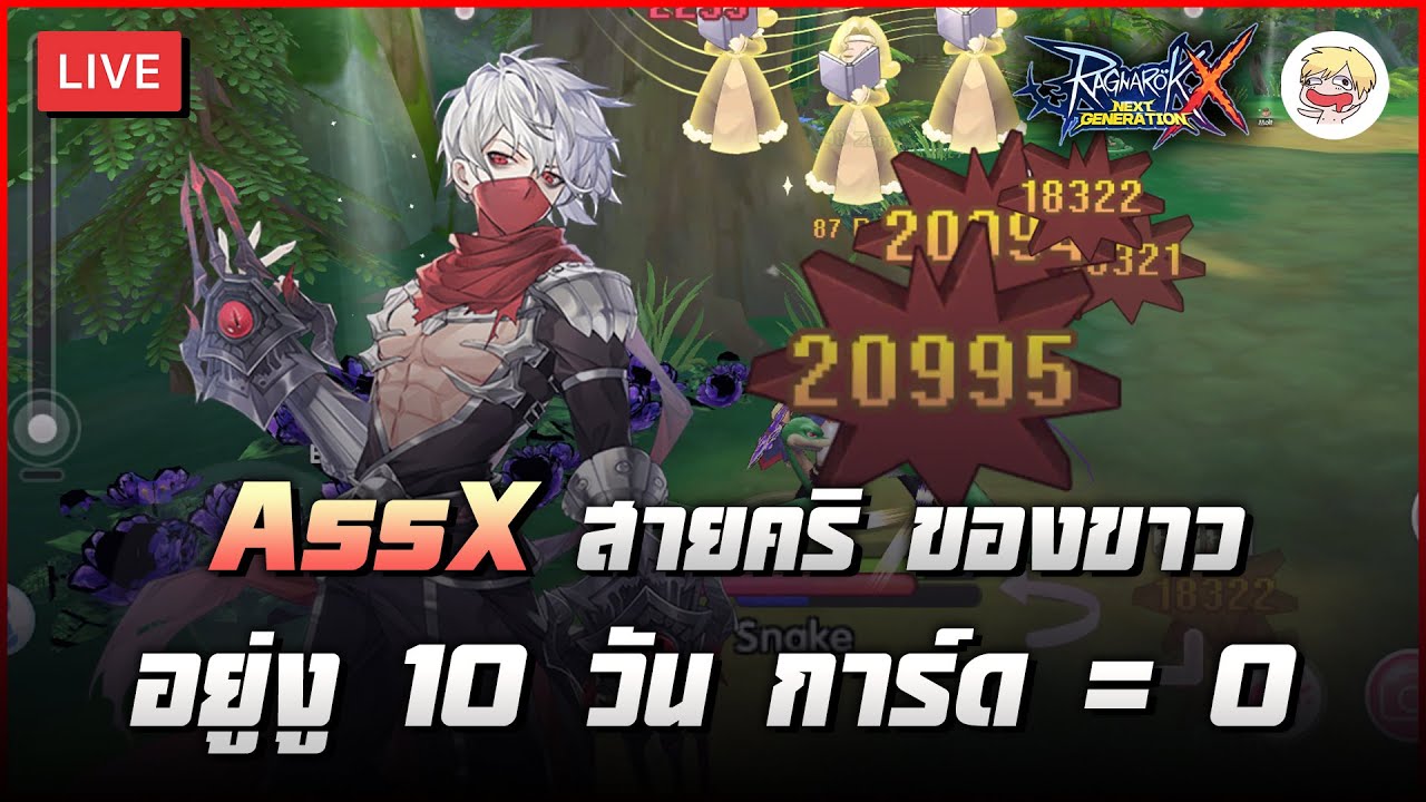 🔴 【 LIVE 】 AssX สายคริ ของขาว อยู่งู 10 วัน การ์ด = 0 | Ragnarok X Next ...