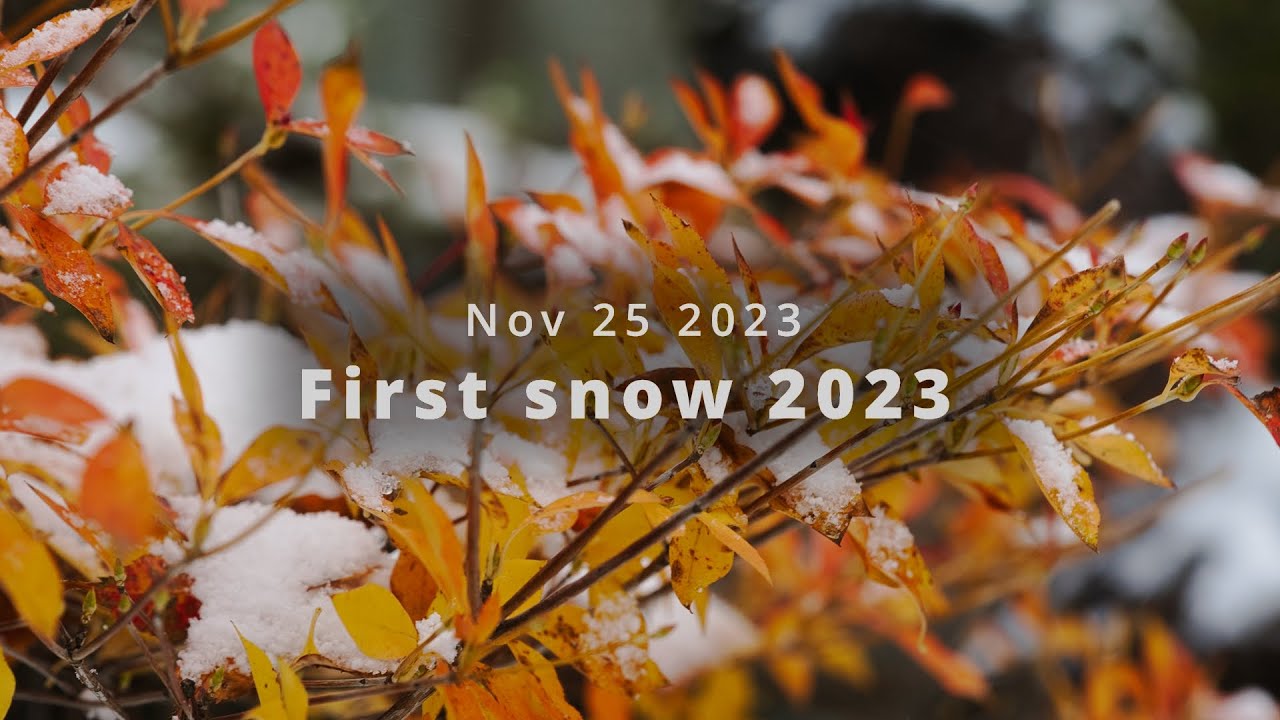 First snow 2023 4K HDR α7Ⅳ FE90f2.8Macro G FE 24-105G XPERIA1Ⅳ AKITA ...