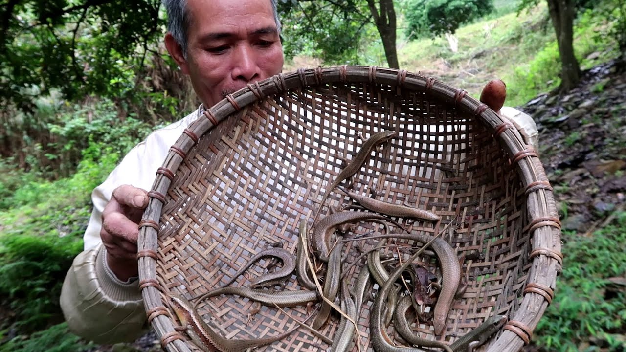 The jungler caught lizards and grilled termite snakes - YouTube