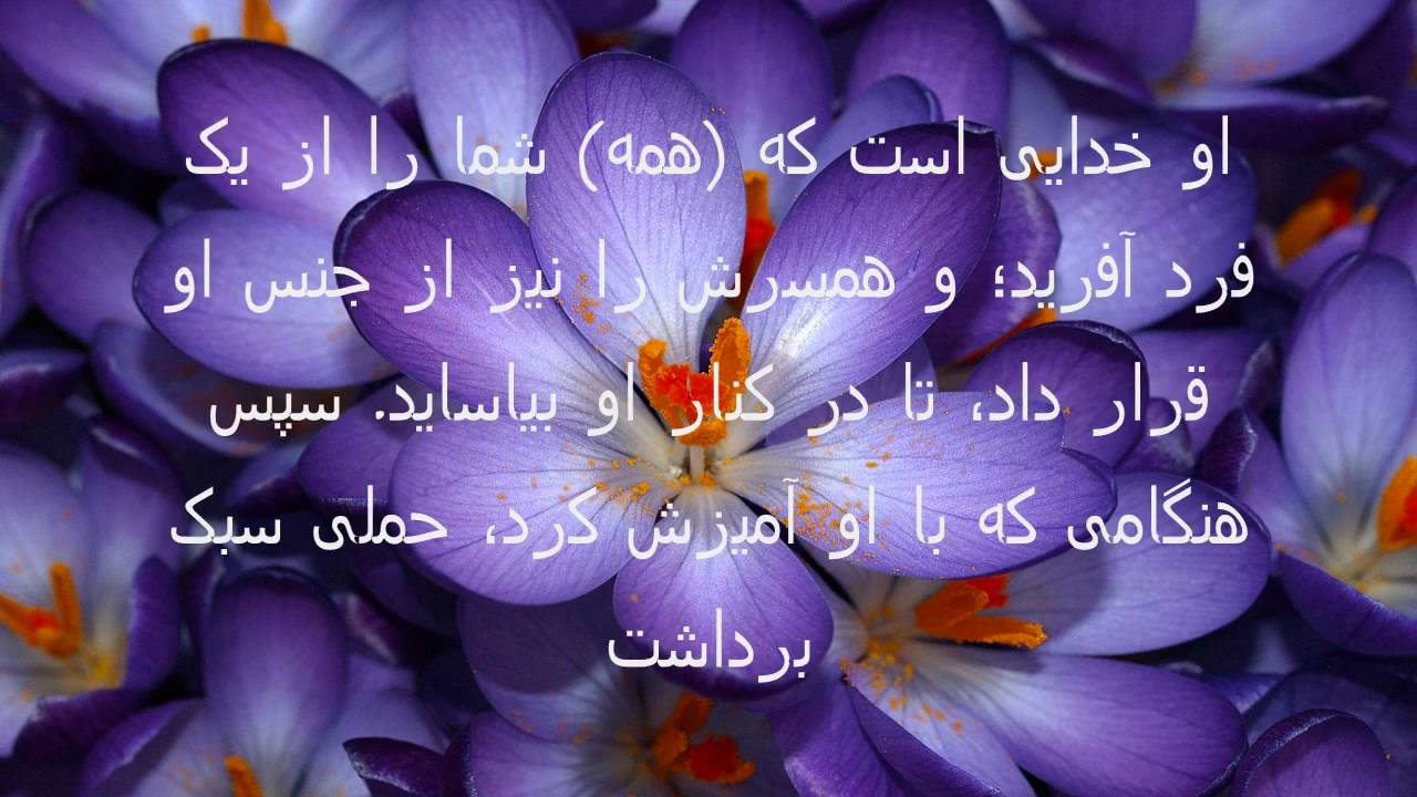 surah 7 Al Araf with dari translation prt 7