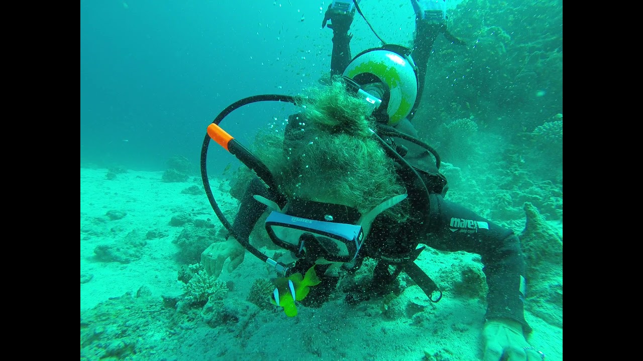 Clownfish vs. Scuba Diver 😂 Nemo attacking my mom - YouTube
