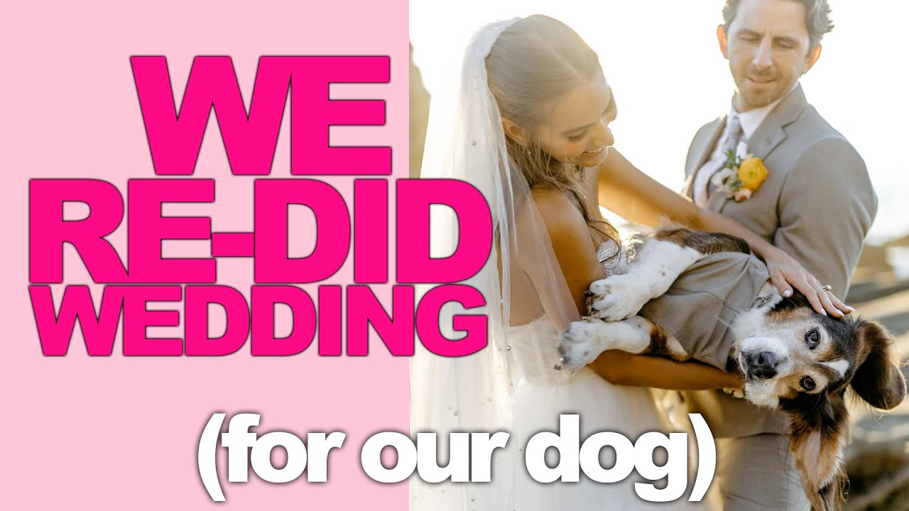 Dave Neal & I Decided To Re-Do Our Wedding Photos So Our Dog Could Be ...