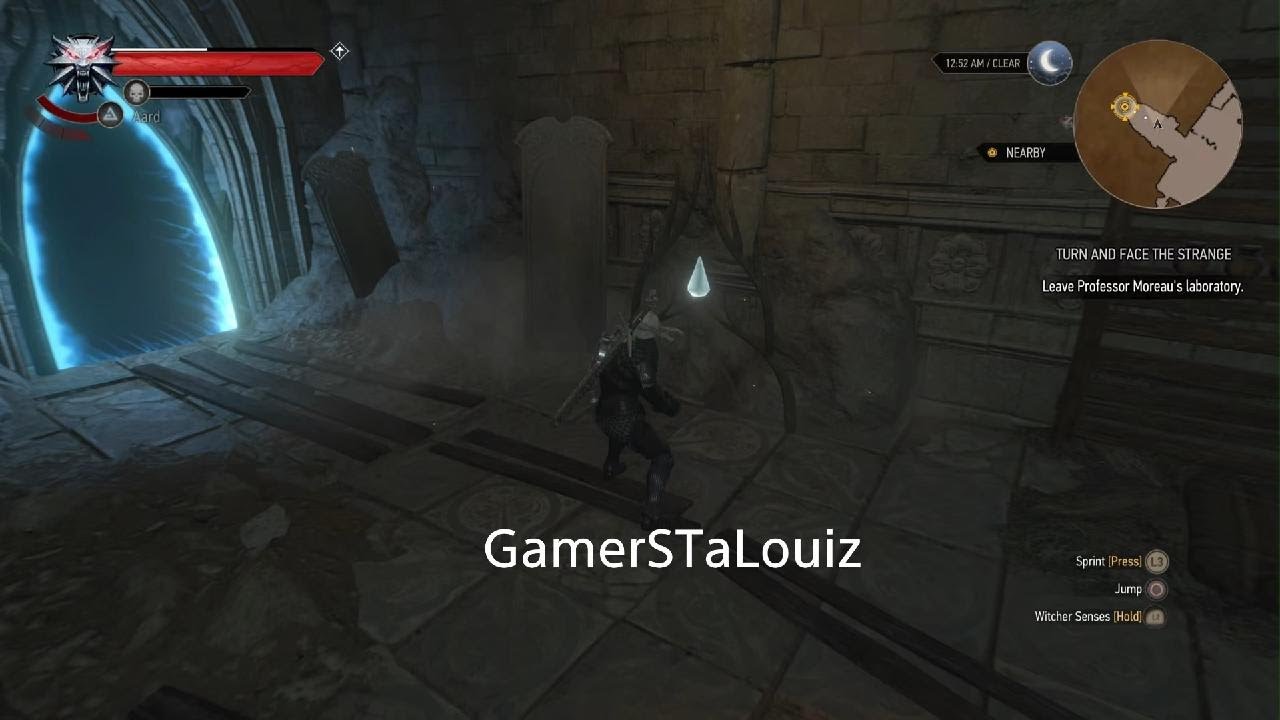 How to Leave professor Moreau's Laboratory Witcher 3 - YouTube