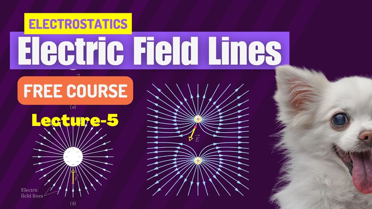 Mastering Electric Field Lines: Comprehensive Explanation by Pankaj ...