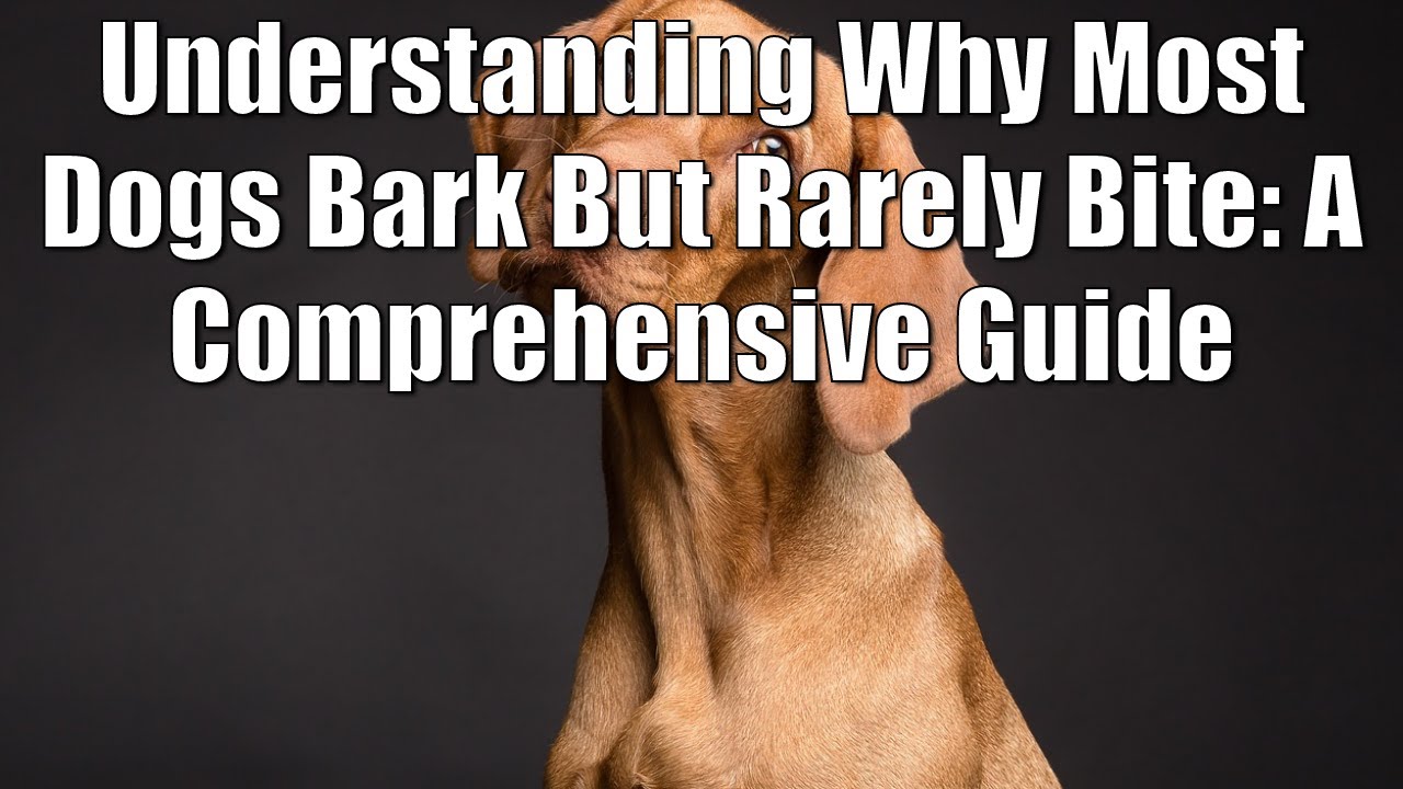 Understanding Why Most Dogs Bark But Rarely Bite: A Comprehensive Guide ...