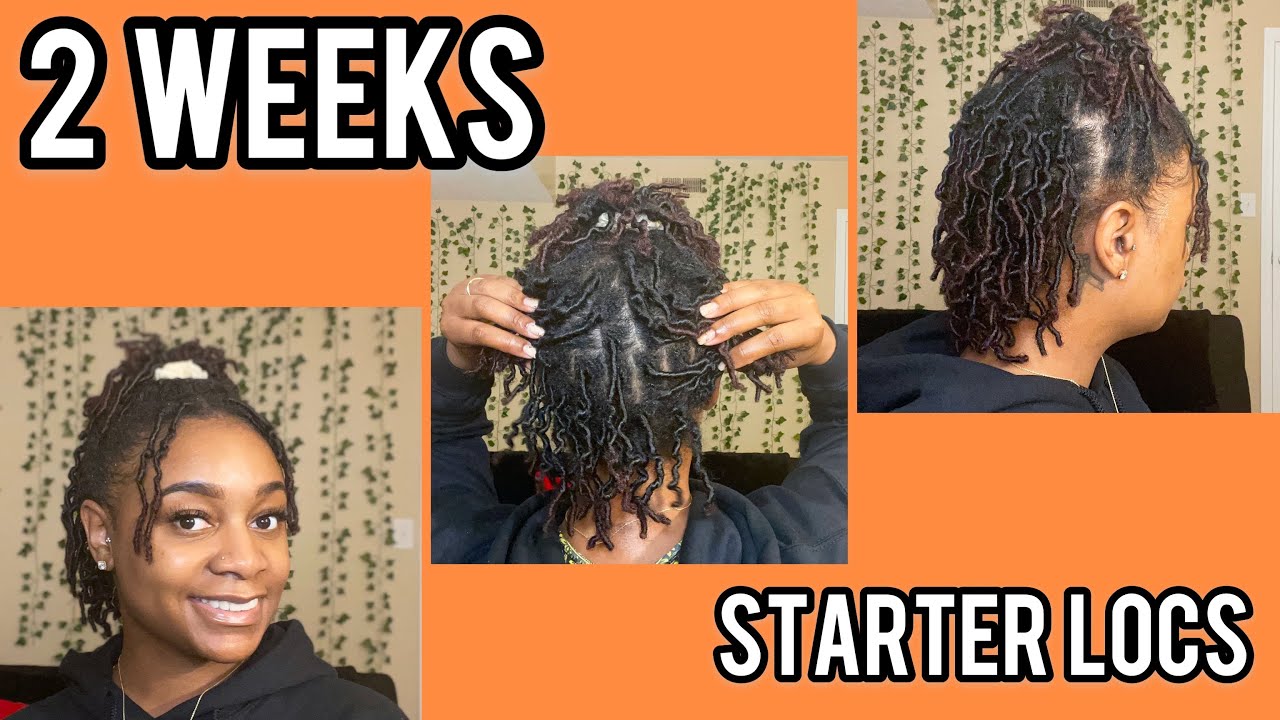 Starter Locs 2 Week Update | New Loc Journey Products & Routine - YouTube