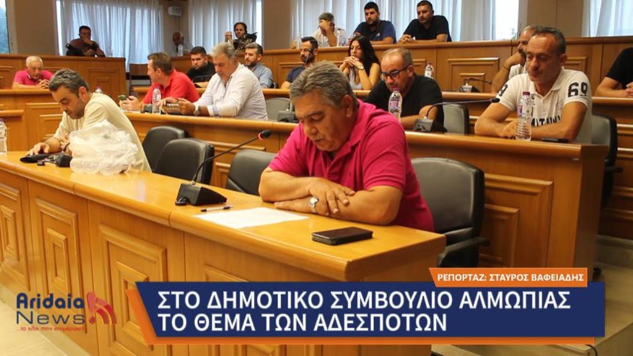 Στο Δημοτικό Συμβούλιο Αλμωπίας το θέμα των αδέσποτων - AridaiaNewsTV ...
