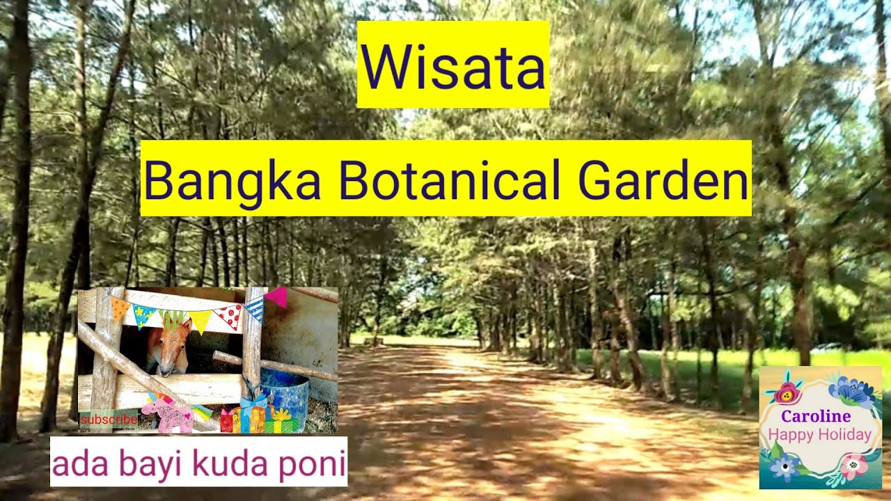 Wisata Bangka Botanical Garden Pangkal Pinang | Rumah susu BBG | Bayi ...
